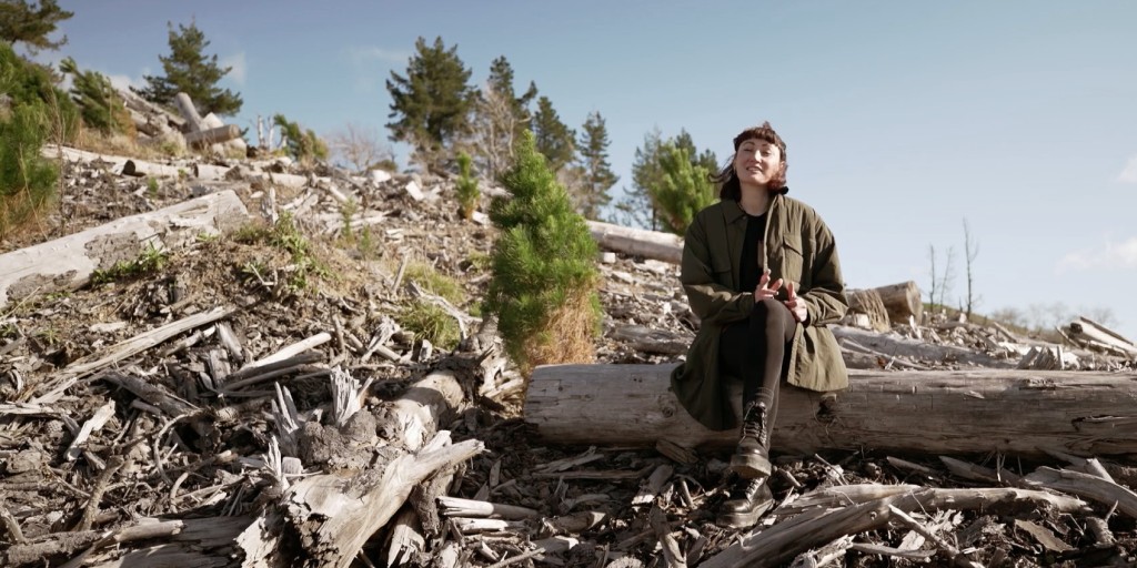 In New Zealand, Ikea hogs land, jeopardising native ecosystems In New Zealand, Ikea hogs land, jeopardising native ecosystems