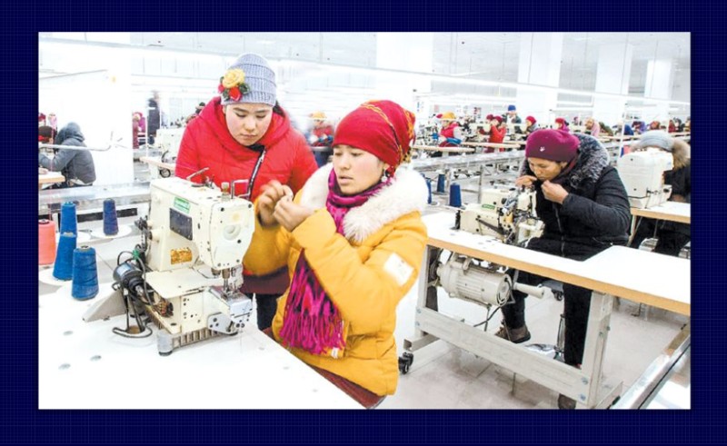 Decathlon profits from Uyghur forced labour in China